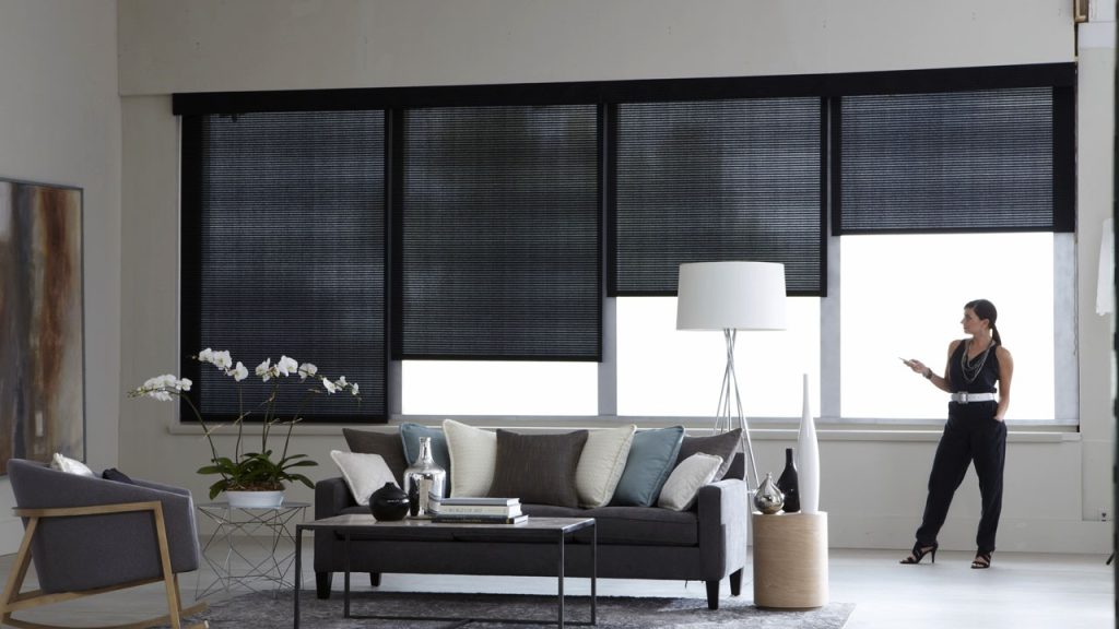 How to Choose the Perfect Window Shades for Your Space – IdeaHarbor